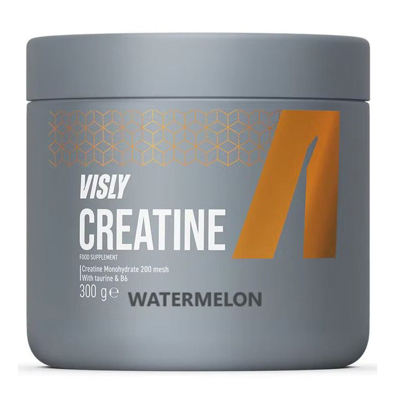 Visly Creatine 300 g – Wellness Shoppee